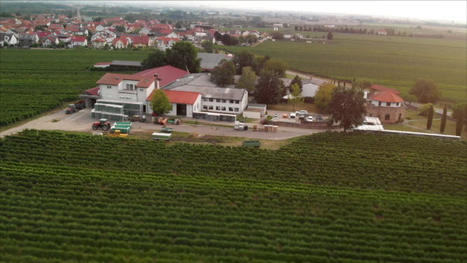 ComAp - CHP for a winery in Germany